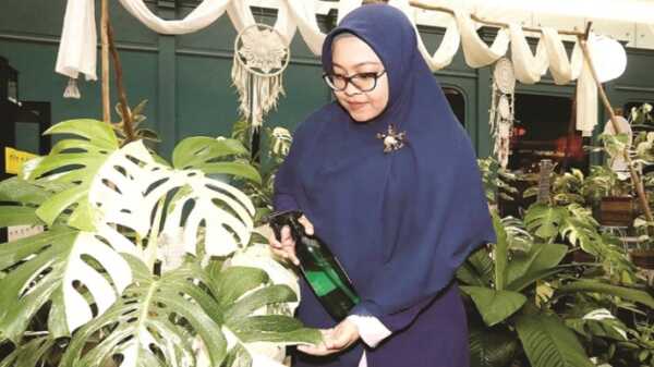 Ruangan Semakin Indah dan Tampak Alami dengan Tanaman Berdaun Lebar ...