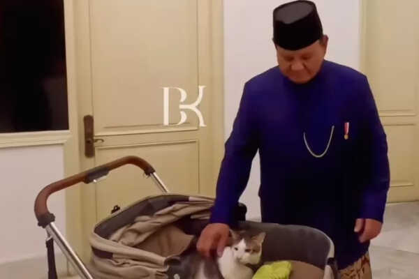 Bobby Kertanegara, Kucing yang Menemani Prabowo saat Dilantik sebagai ...